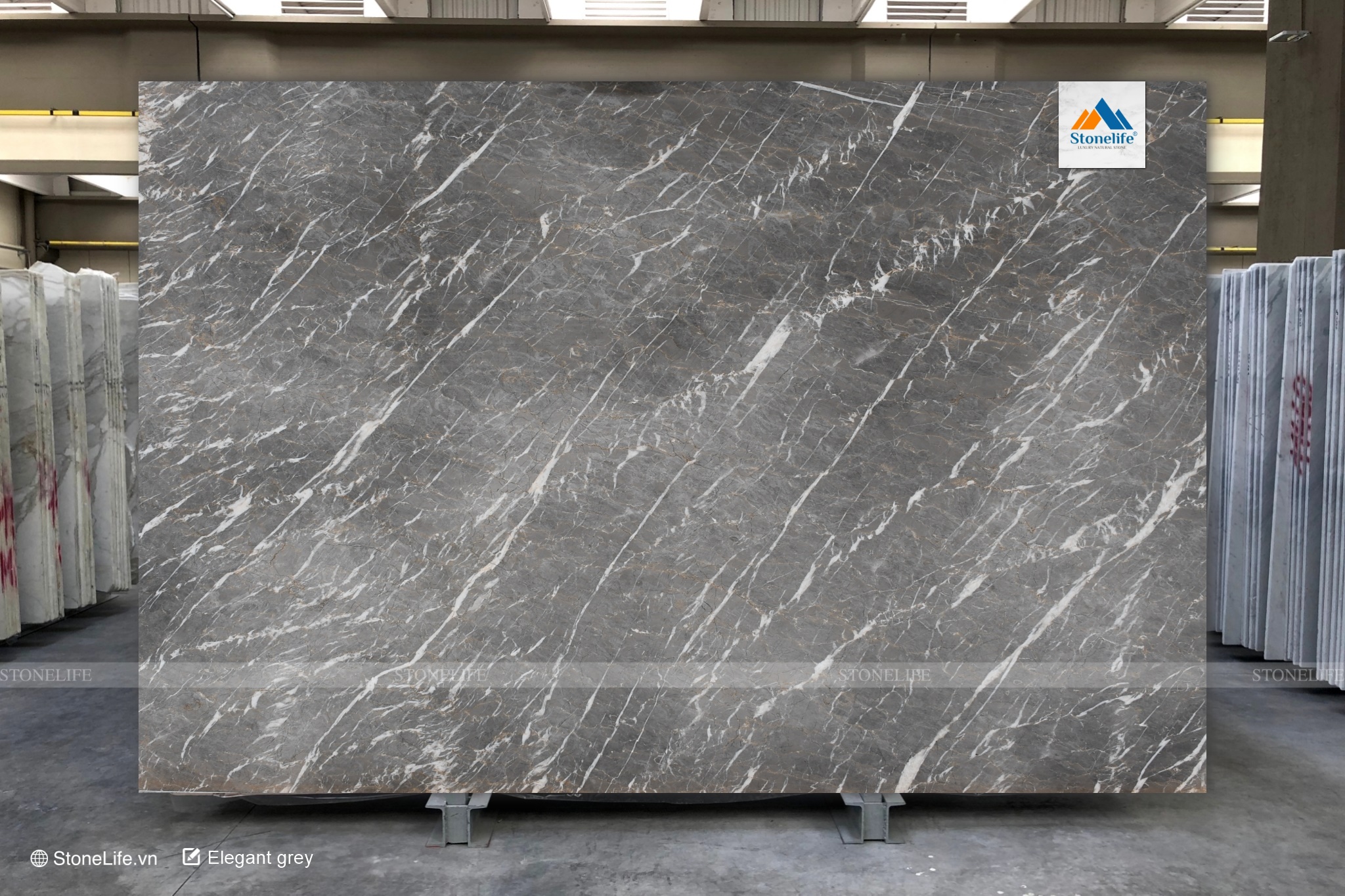 M011 - Grey Italy